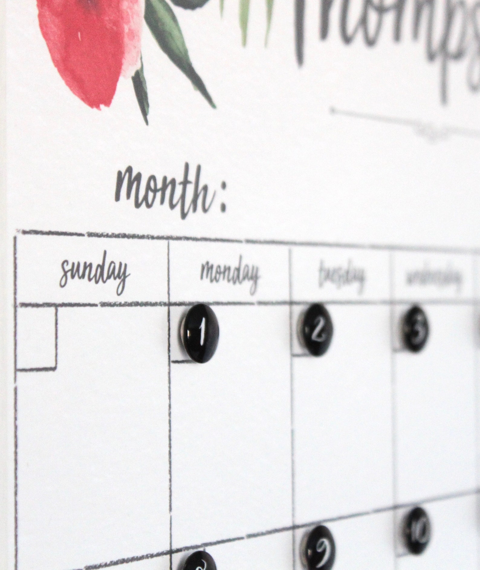 Watercolor Calendar With Poppies, Sunflowers or Oranges | Dry Erase ...