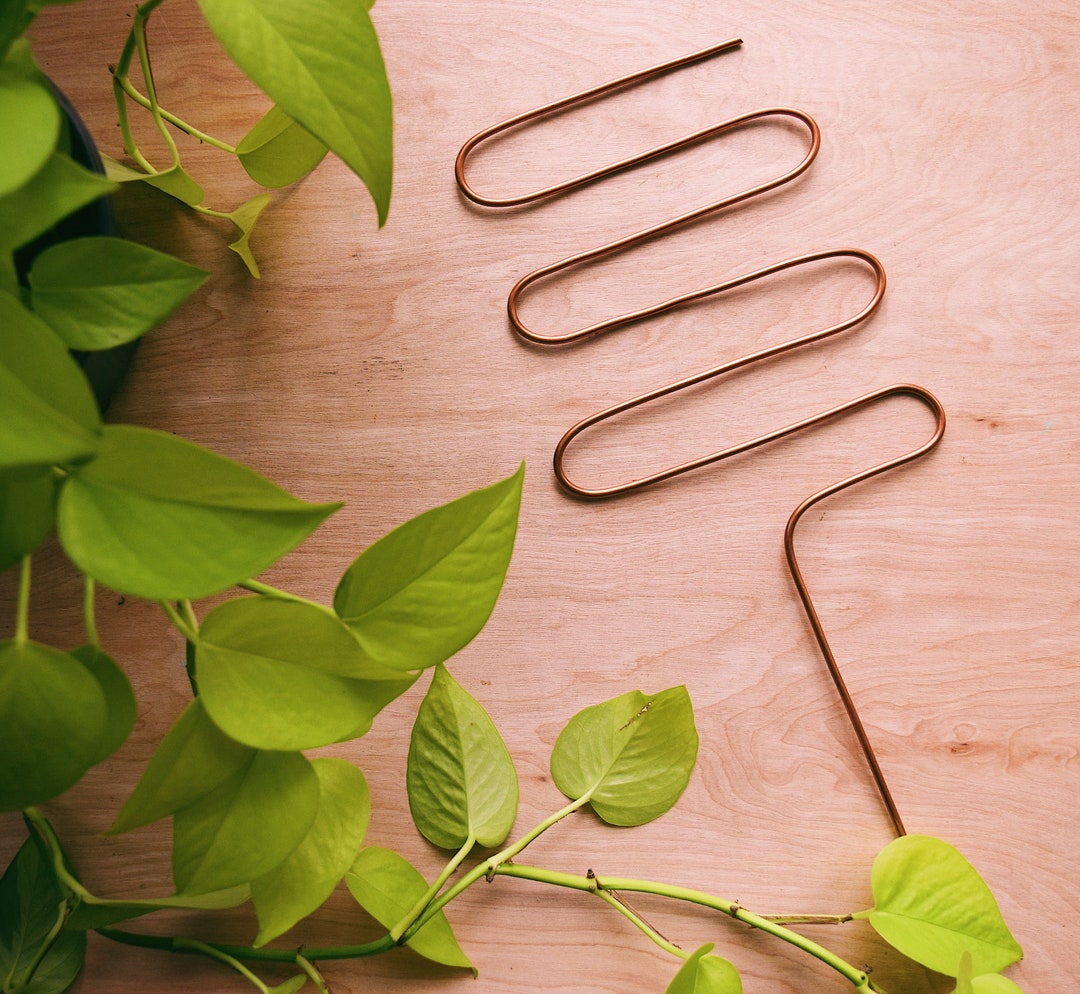 Squiggly plant stake, copper plant trellis, minimalist plant stake ...