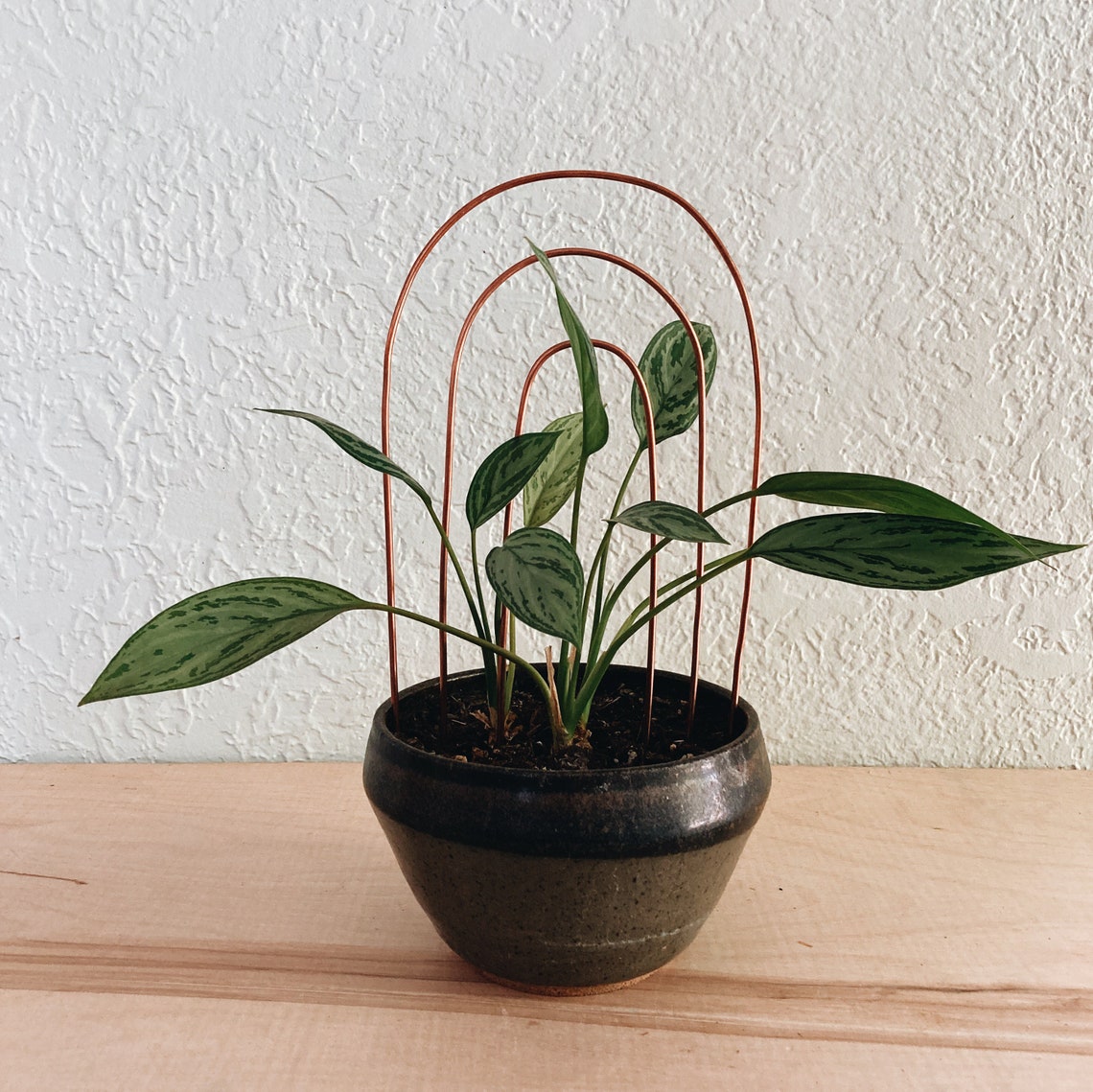 Rainbow Plant Stake, Arch Plant Trellis, Copper Plant Stake, Minimalist ...