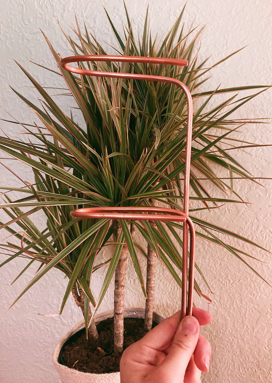 Minimalist Plant Support Pole for Hearty Stems, Recycled Copper Plant ...