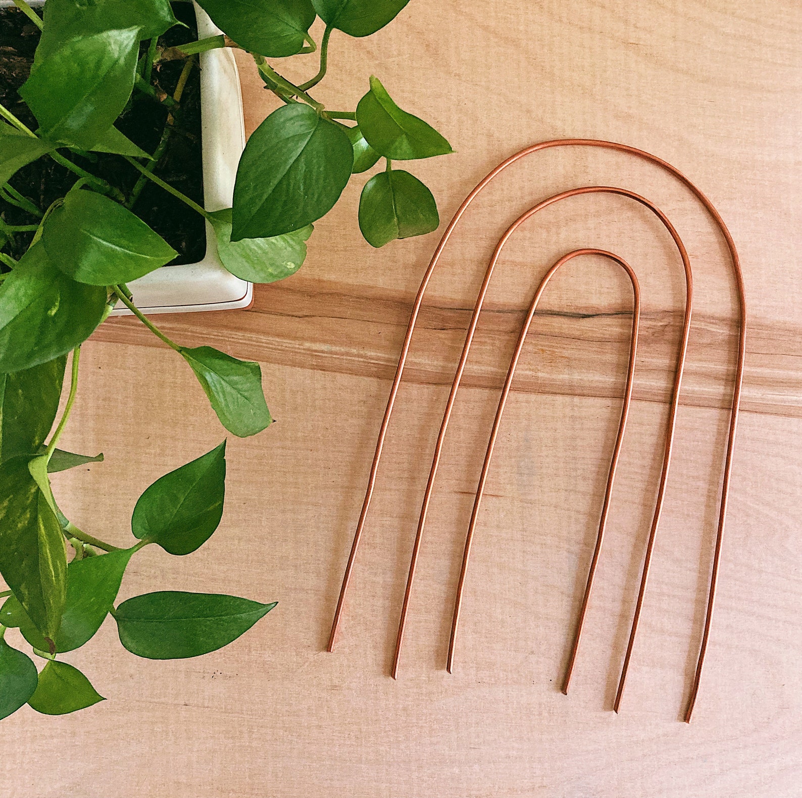 Rainbow Plant Stake Arch Plant Trellis Copper Plant Stake - Etsy