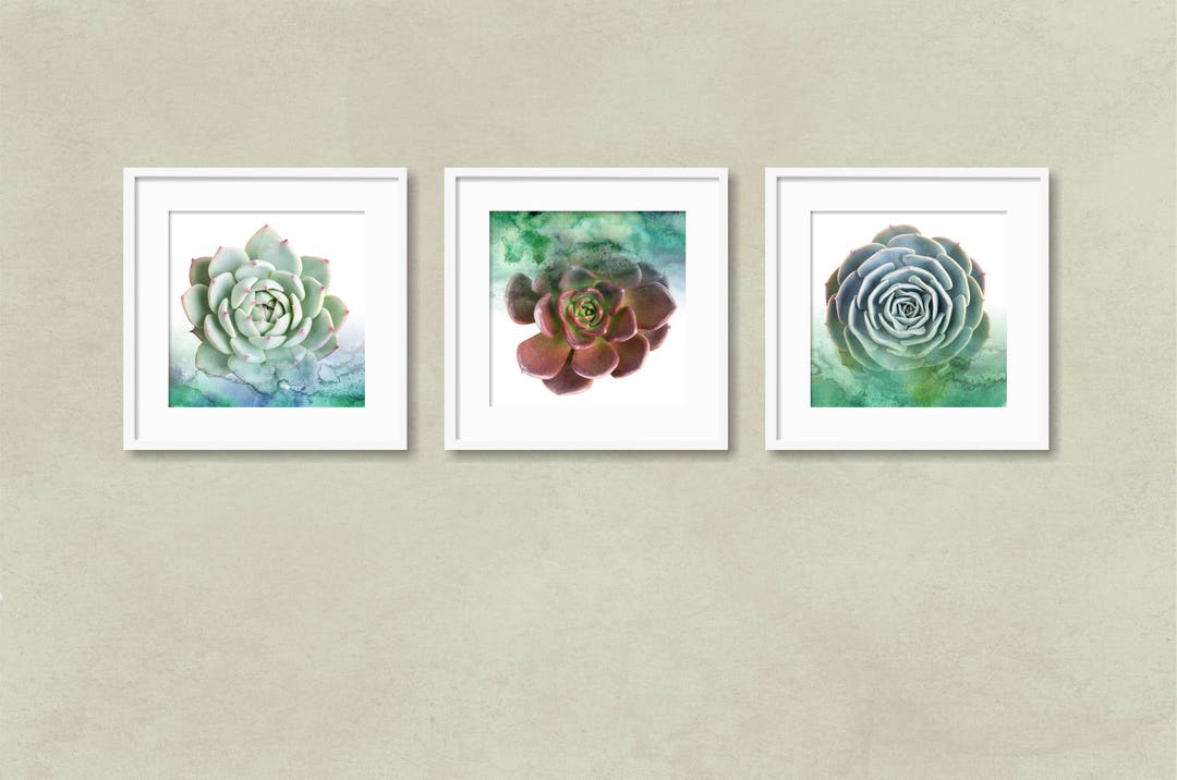 Succulents Watercolor Printable Art Set, Mixed Media Nature Print ...