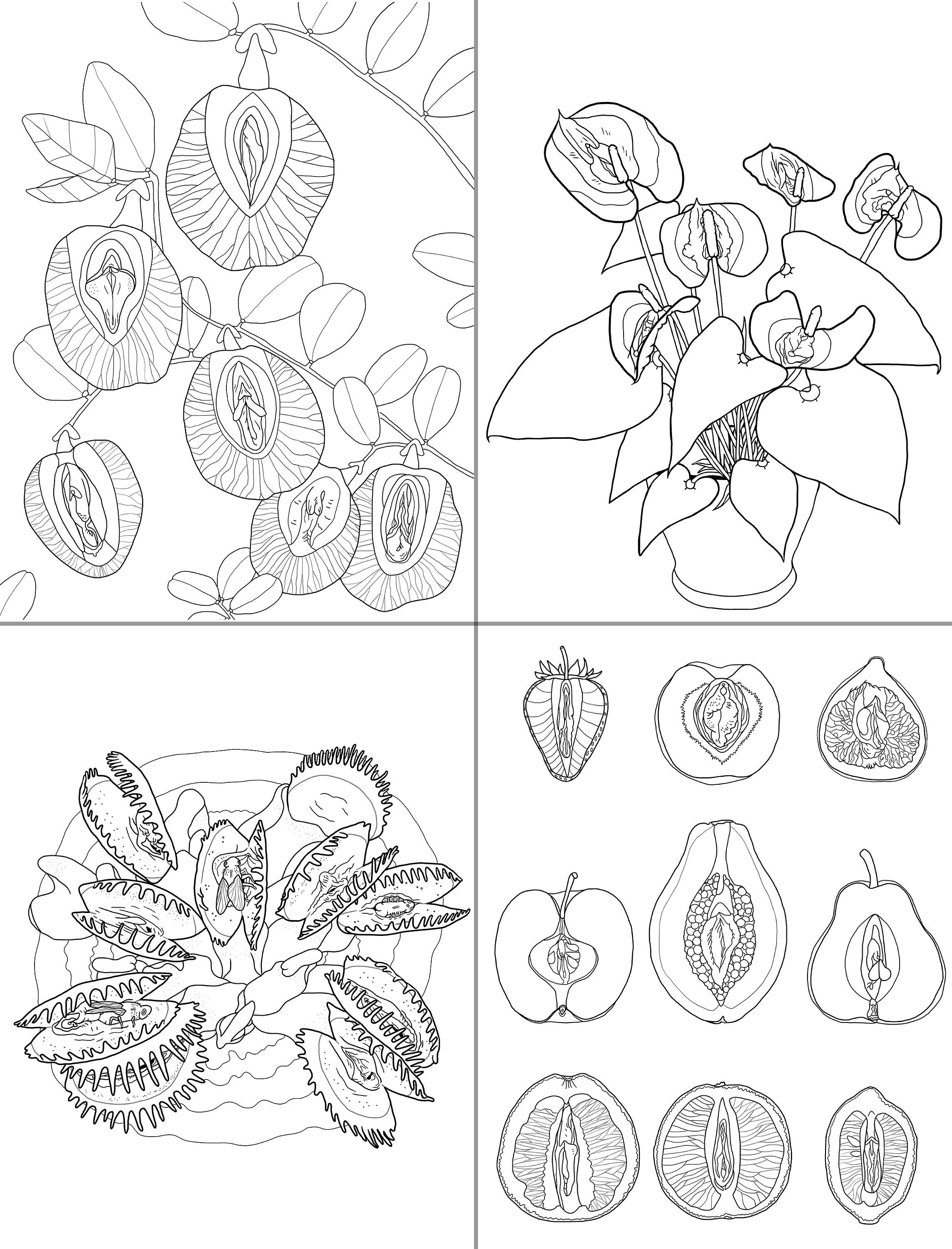The Vagina Coloring Book A Very Vulvacious Coloring Book For Etsy Uk