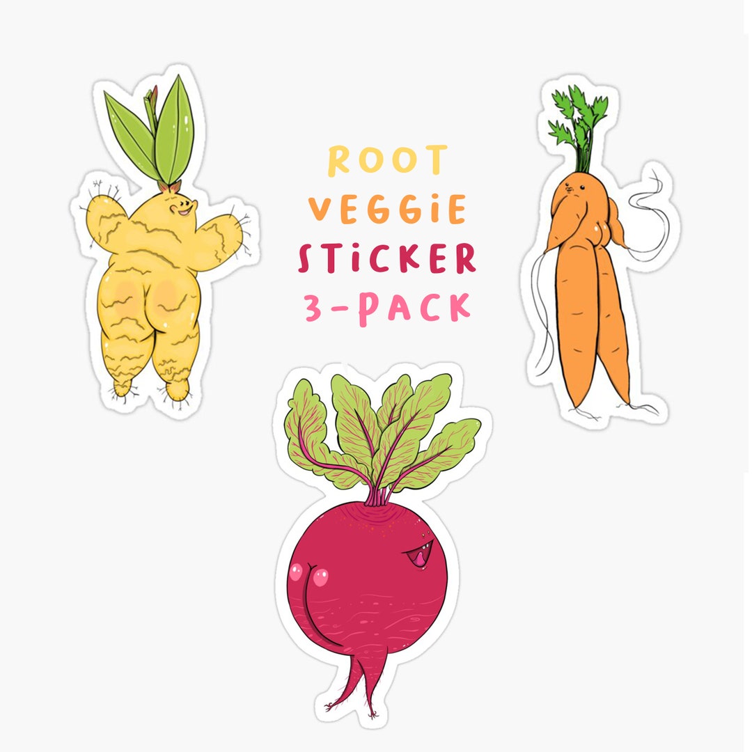 Carrot, Beet, Ginger Sticker Pack Root Veggie Series Waterproof/uv ...