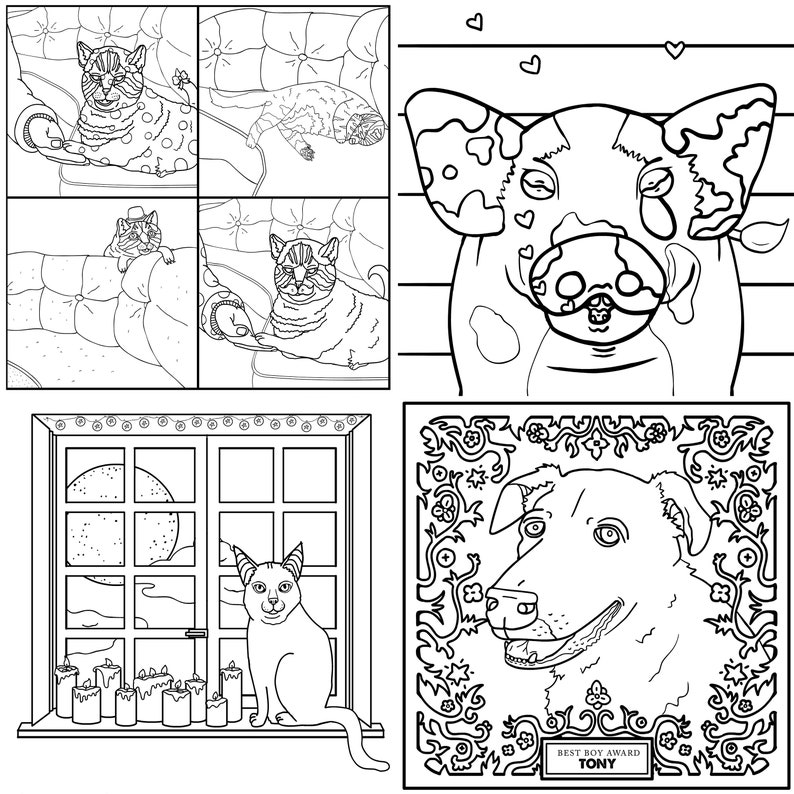 Happy Aminals: A Derpy Coloring Book for All Ages! - Etsy