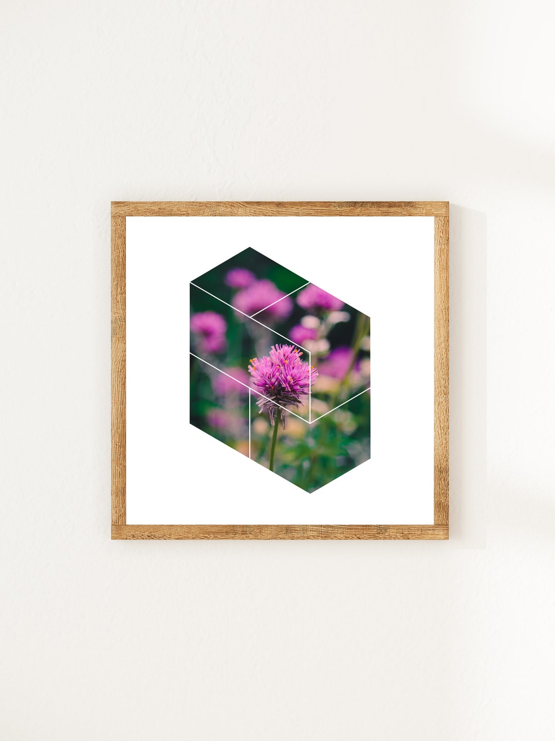 Amaranth Flower Geometric, Nature Photo, Botanical Wall Art, Minimalist ...