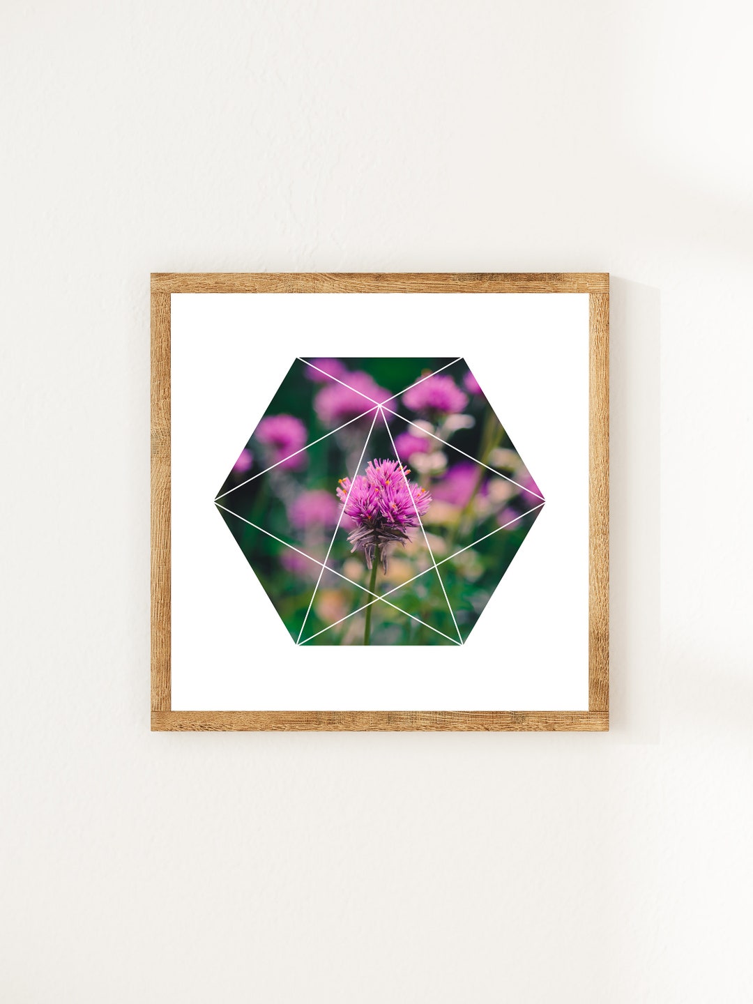 Amaranth Flower Geometric, Nature Photo, Botanical Wall Art, Minimalist ...