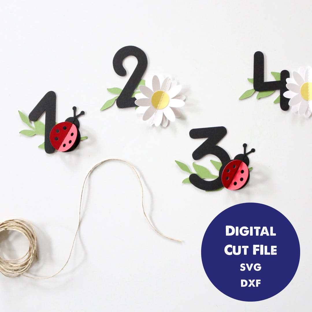 Ladybug Monthly Photo Banner Decoration, First Year Birthday, Little ...