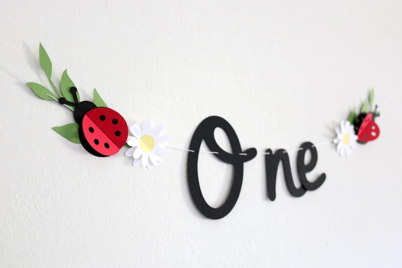 Ladybug Banner, One With Daisy for Little Lady 1st First Birthday, Love ...