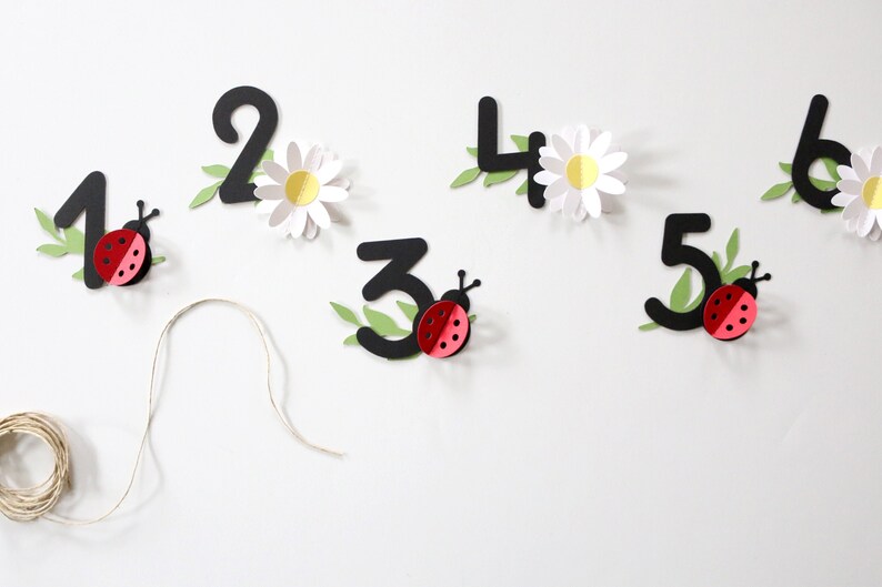 Ladybug Monthly Photo Banner Decoration, First Year Birthday, Little ...