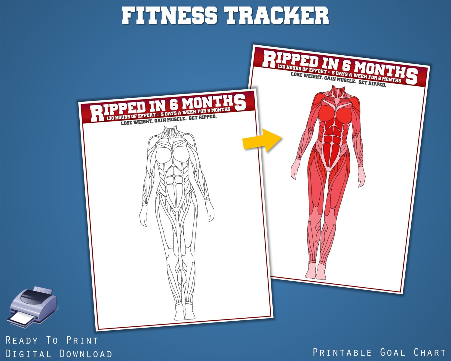 Printable Fitness Goal Tracker Workout Tracker, Coloring Muscle Chart ...