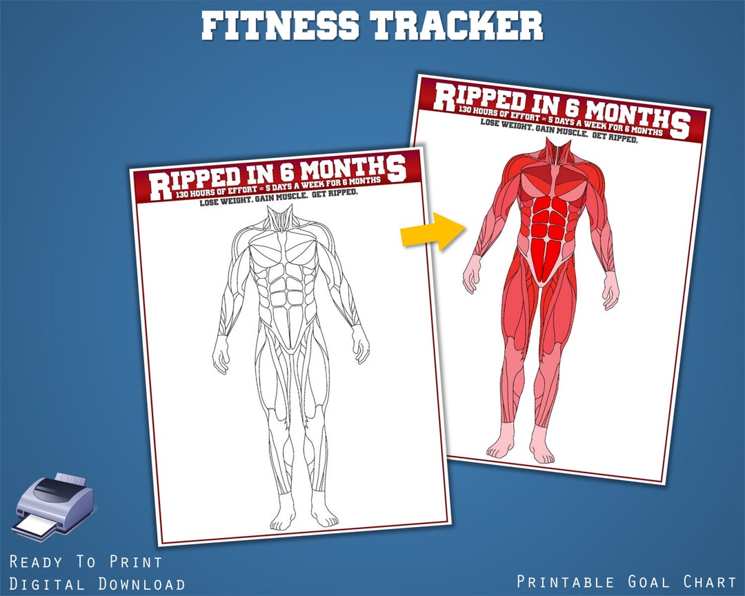 Printable Fitness Tracker: Muscle Coloring Chart (letter, A4, A5 ...
