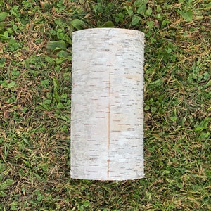 White Birch Half Log, Birch Slab, About 9 Inches Long by 4.5 Inches ...
