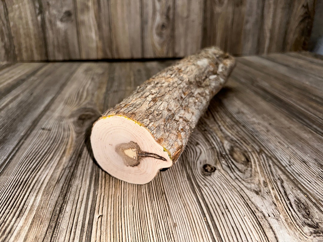Unique Ironwood Log With Dark Center, Hophornbeam, Approximately 14.5 ...