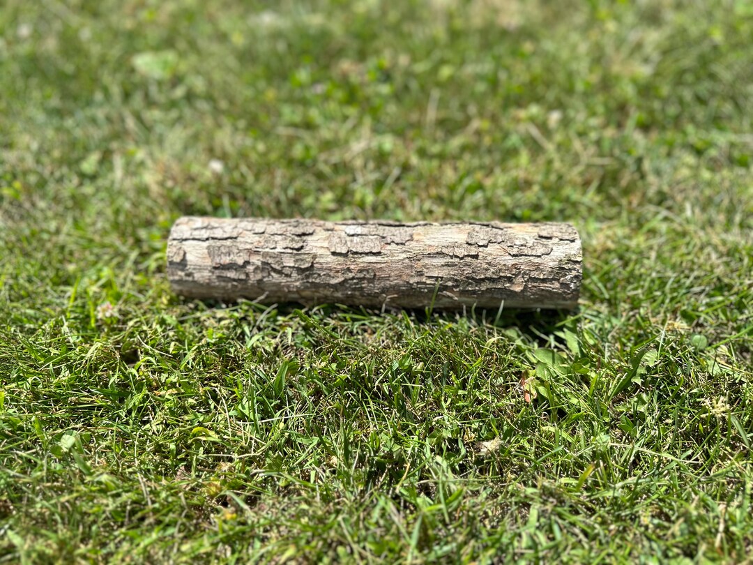 Ironwood Log, Hophornbeam, 9 Inches Long, Bundles Available - Etsy