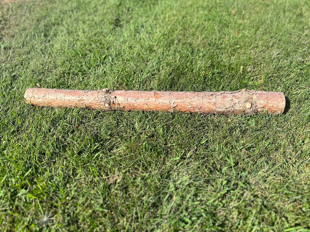 Red Pine Log, 36 Inches Long, Choose Diameter, Norway Pine - Etsy