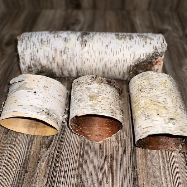 White Birch Bark - Etsy