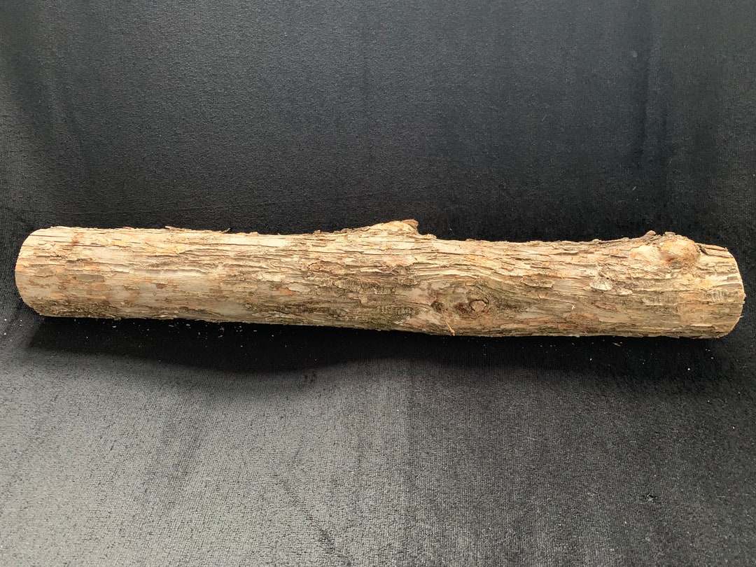 Ironwood Log, Approximately 18 Inches Long and About 2 3/4 Inches ...