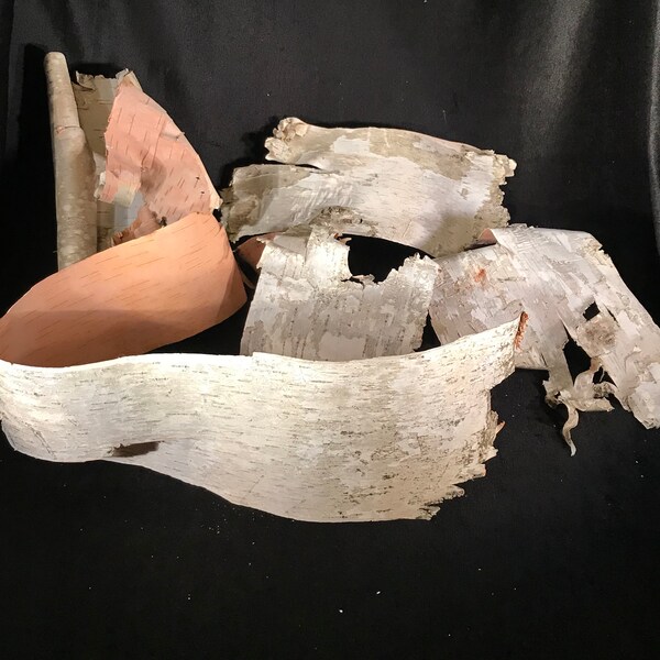 Birch Bark Paper - Etsy