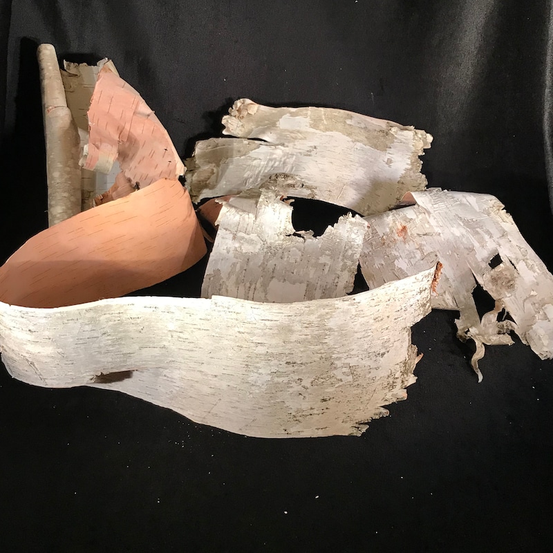 Birch Bark Paper - Etsy