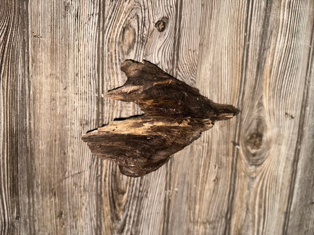 Wood Arrowhead, Arrowhead Shaped Driftwood, Bark, 8.5 Inches Long by 6 ...
