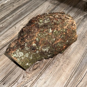Burl, Cherry Burl Log, Approximately 15 Inches Long by 8 Inches Wide ...