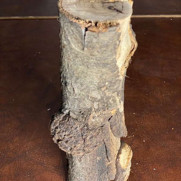 Burl - Etsy