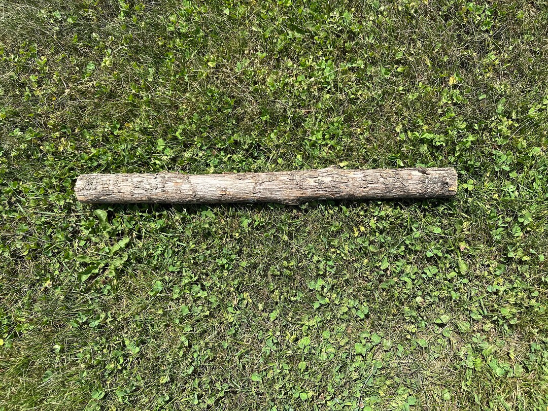 Ironwood Log, Hophornbeam, 24 Inches Long, Bundles Available - Etsy