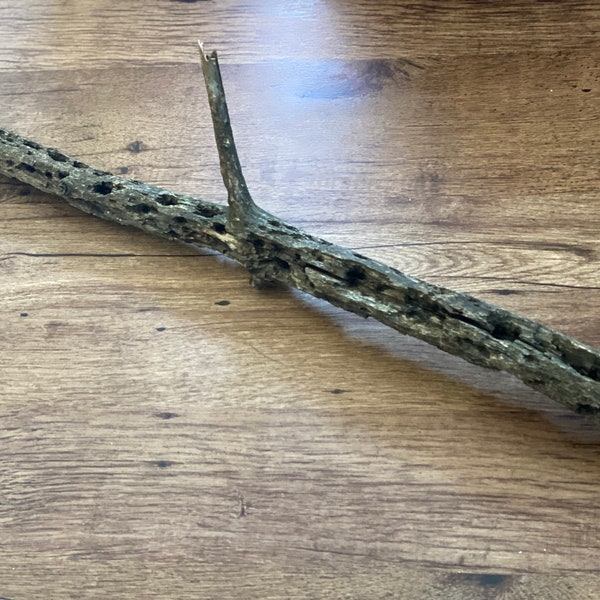 Thick Tree Branch - Etsy