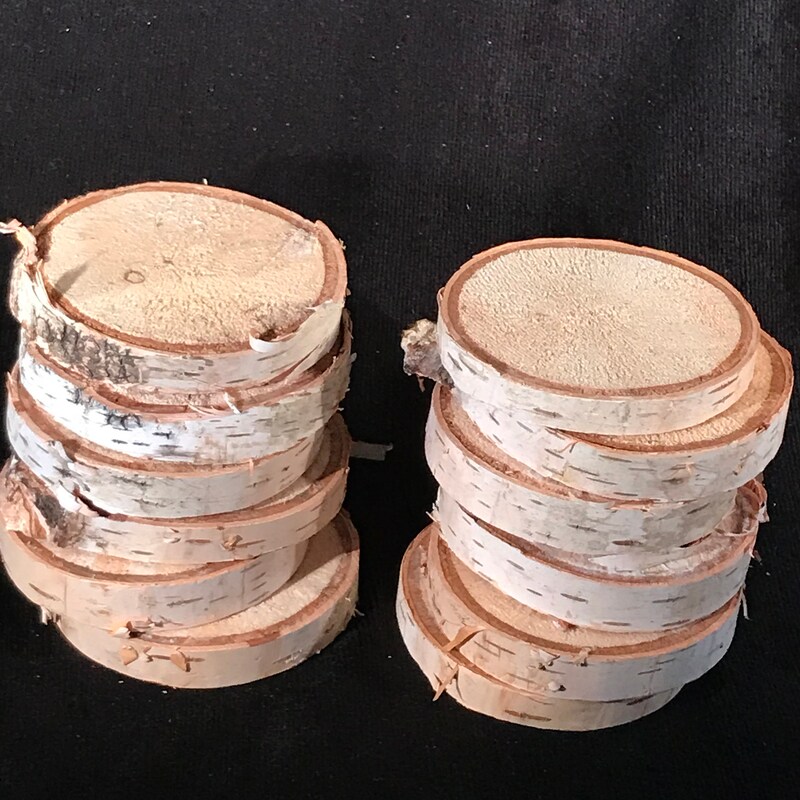Birch Tree Slice - Etsy