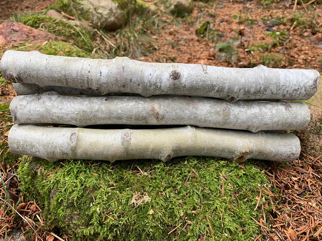 Aspen Logs, 12 Inches Long, 1-2 Inch Diameter, 6 Count - Etsy