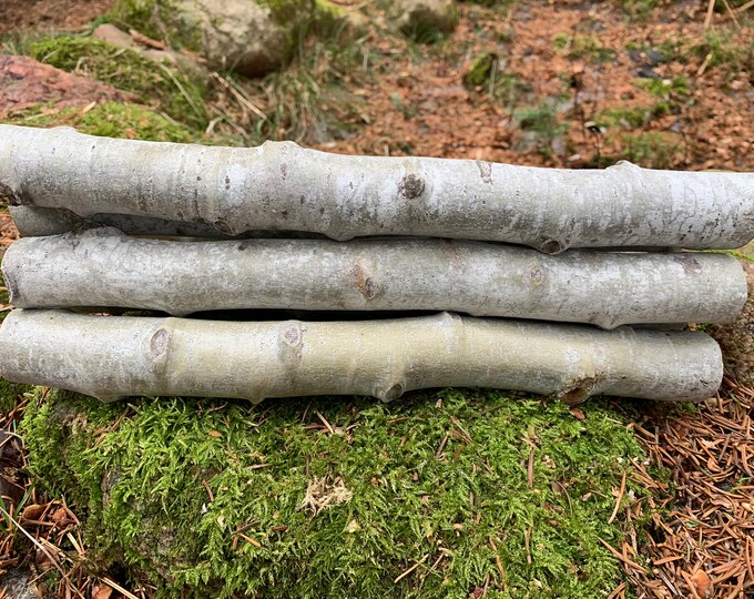 Aspen Logs, 12 Inches Long, 1-2 Inch Diameter, 6 Count - Etsy