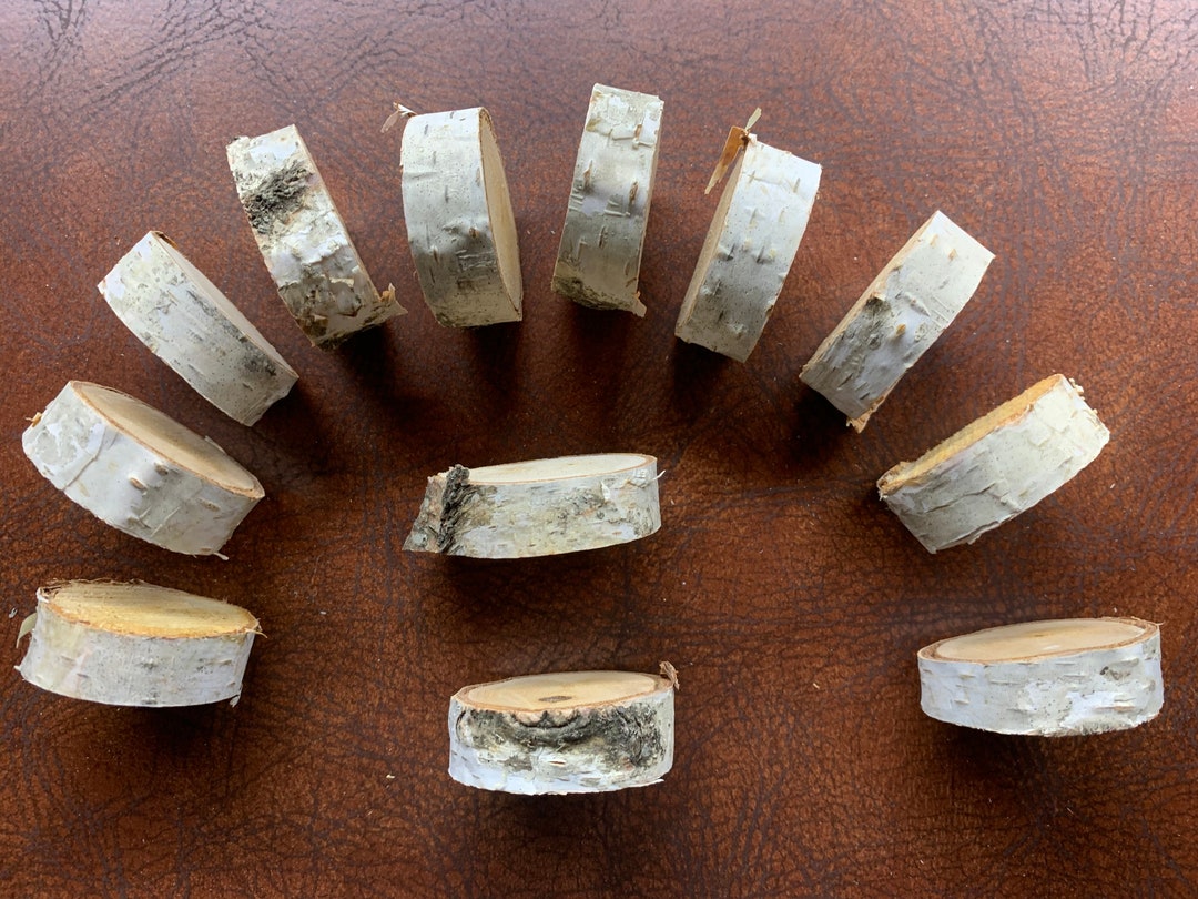 White Birch Slices, 12 Count, 1/2 Inch Cuts With Diameters of 1 1/2 ...