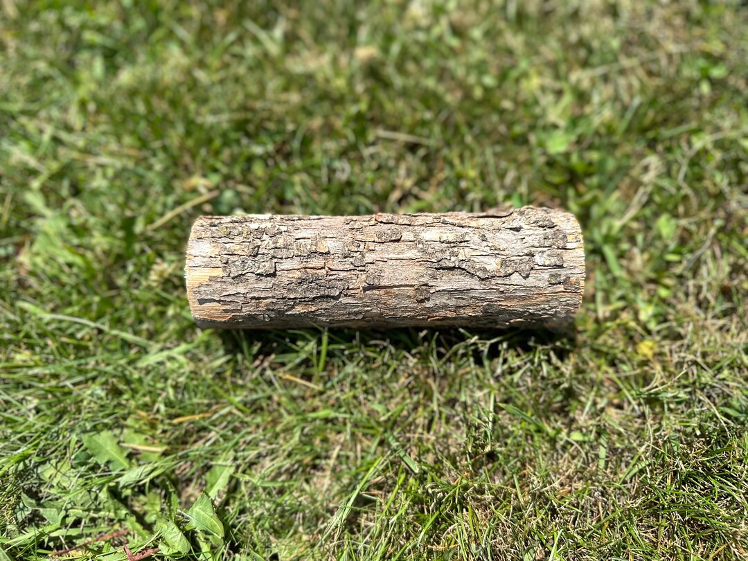Ironwood Log, Hophornbeam, 6 Inches Long, Bundles Available - Etsy