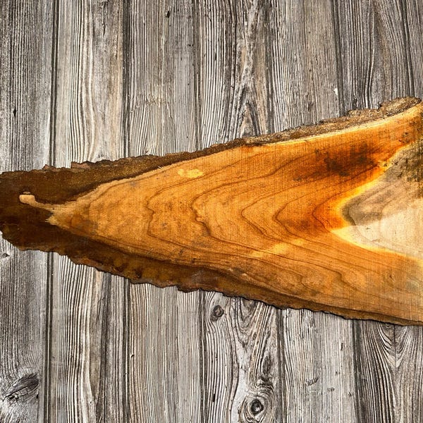 Burl Slab - Etsy