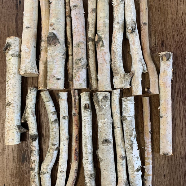 Birch Bark Strips - Etsy