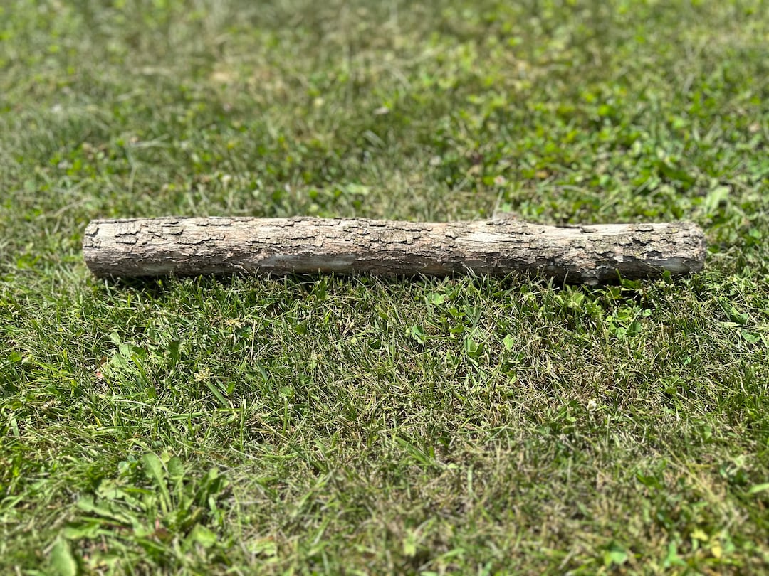 Ironwood Log, Hophornbeam, 20 Inches Long, Bundles Available - Etsy