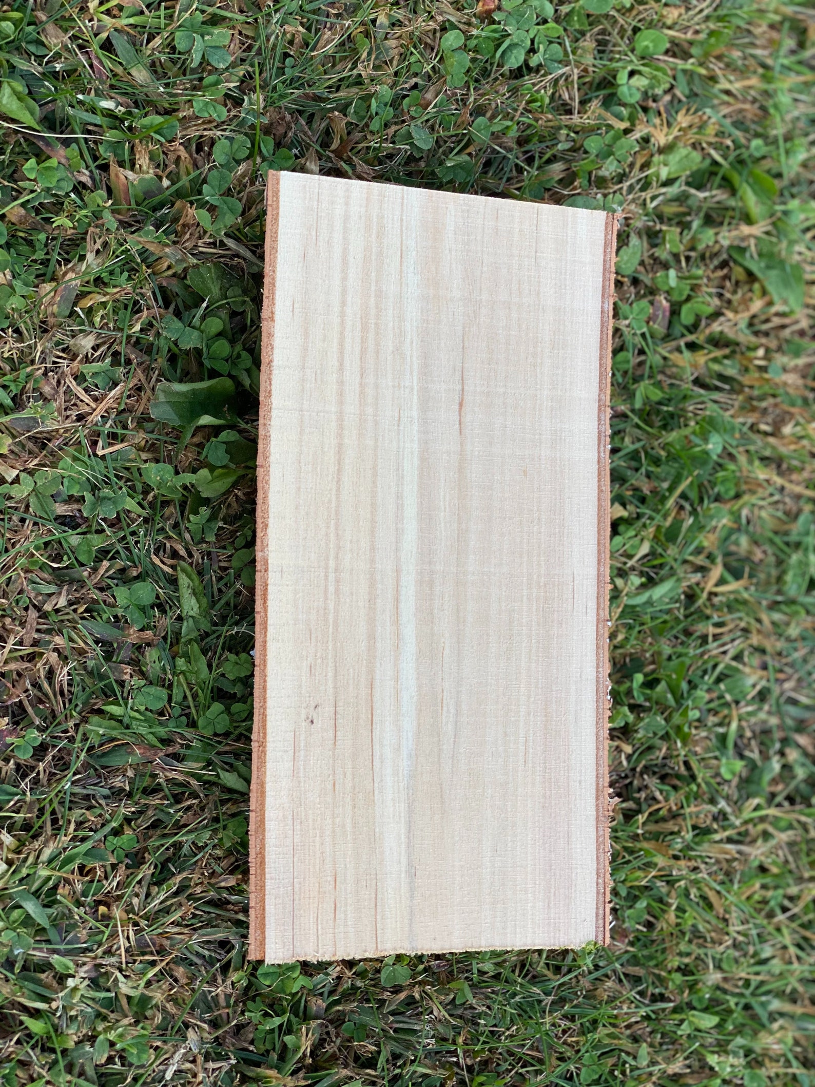 White Birch Half Log Birch Slab About 9 Inches Long by 4.5 - Etsy