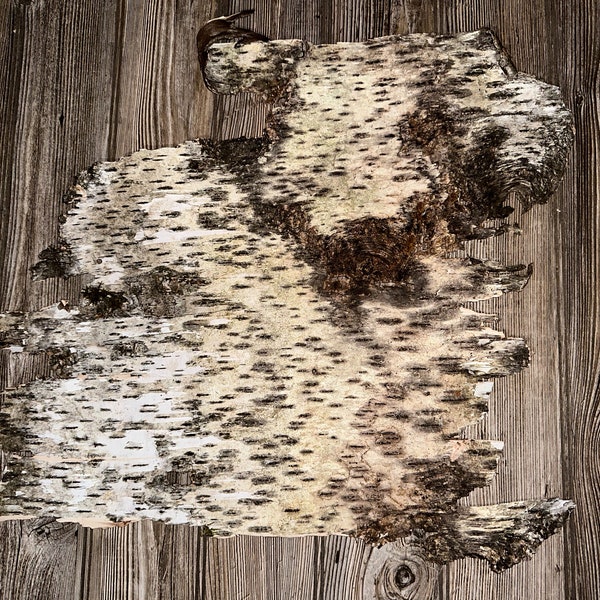 Birch Bark Paper - Etsy