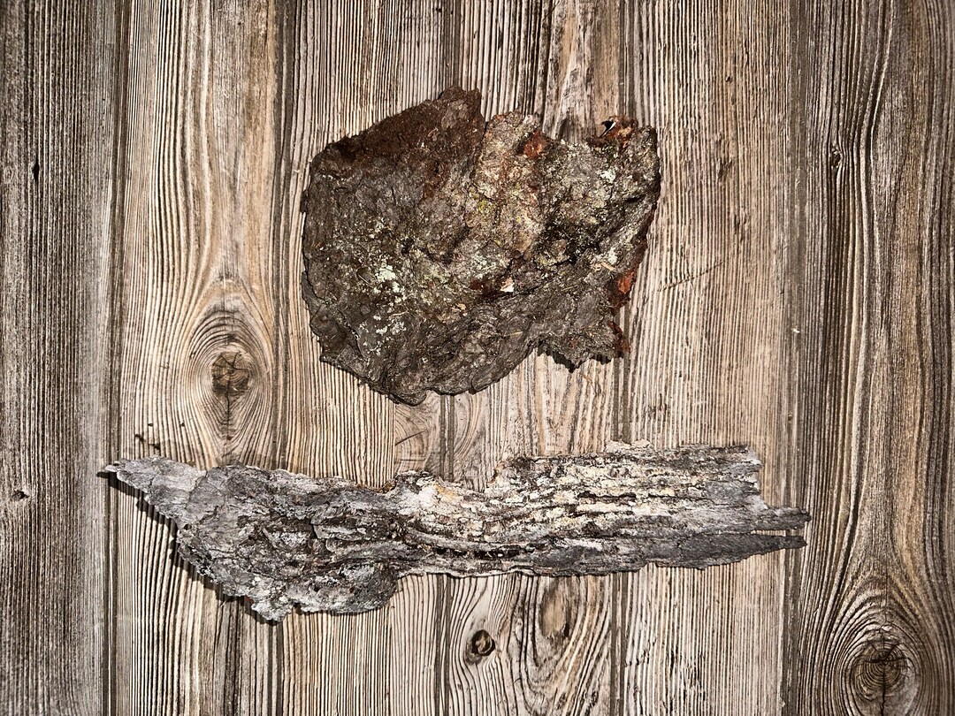Tree Bark, Two Pieces of Real Tree Bark, Gray-brown Color ...