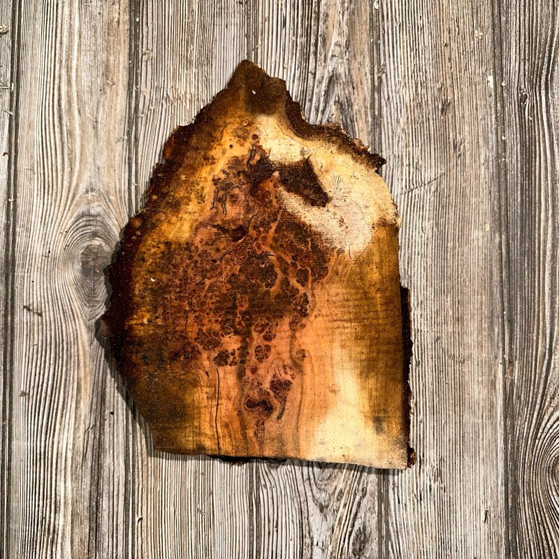 Burl Slab - Etsy