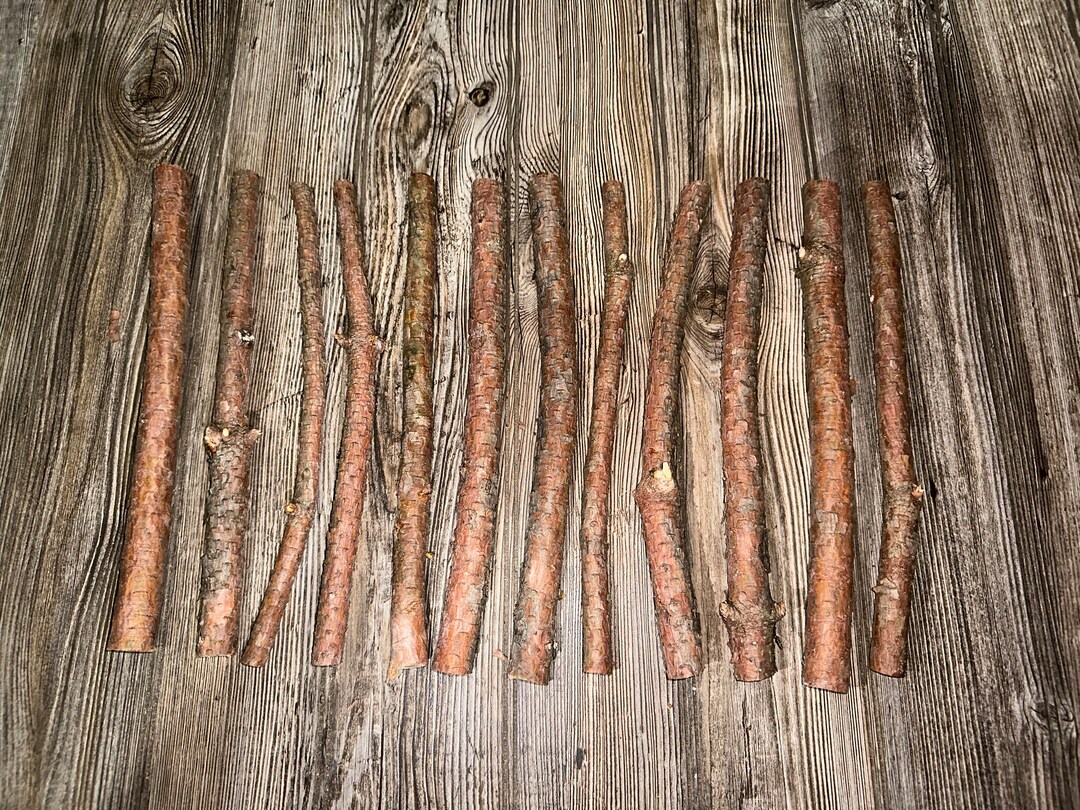 Red Pine Branches, Red Pine Sticks, 12 Count, About 12 Inches Long by 1 ...