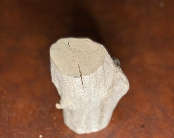 Blue Beech Musclewood Ironwood Log Approximately 12 Inches | Etsy