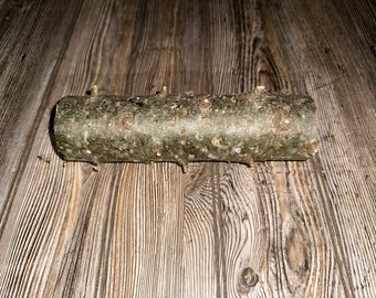 Basswood Hammerschlagen Log, One Count, Approximately 20 Inches Long by ...