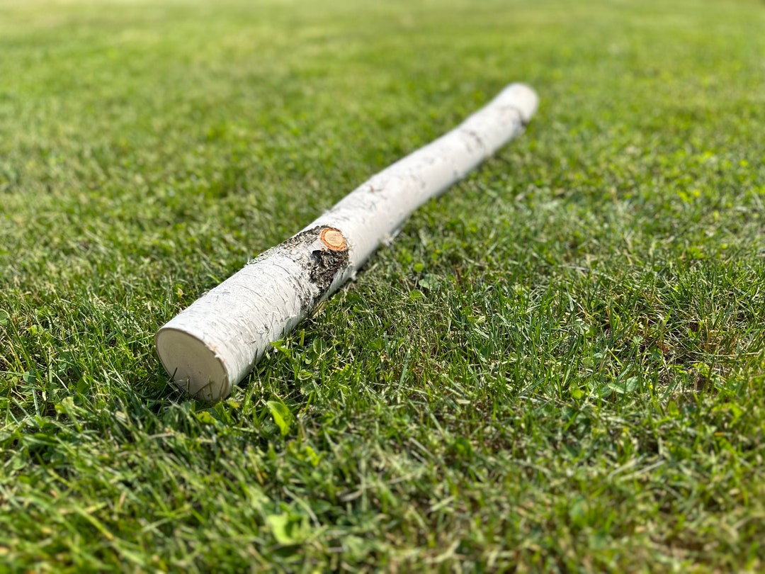 White Birch Log, Paper Birch, 30 Inches Long - Etsy