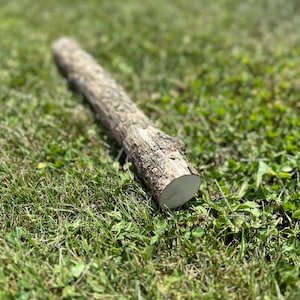 Ironwood Log, Hophornbeam, 16 Inches Long, Bundles Available - Etsy