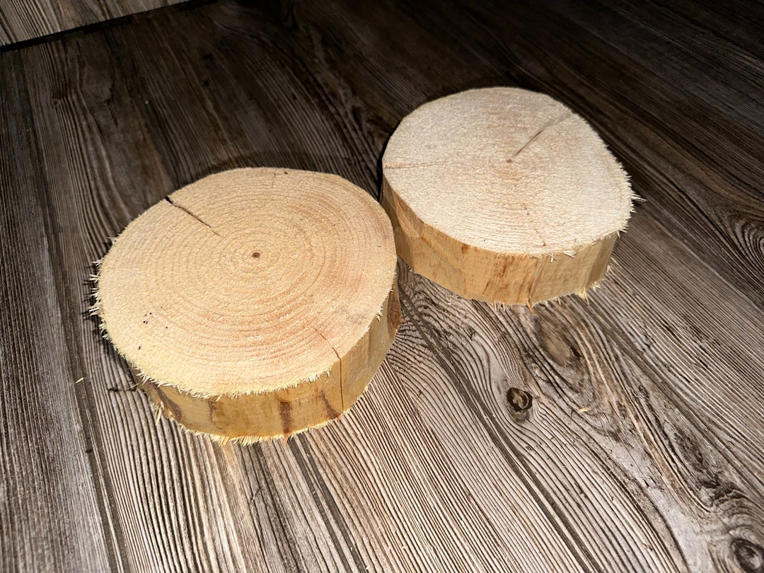 Pine Tree Slices, Two Pine Slices, Approximately 7 Inches Long by 6-6.5 ...