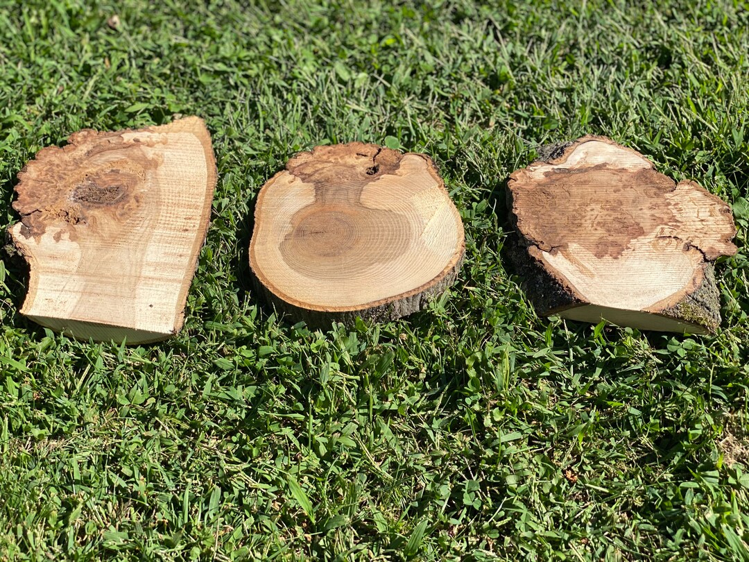 Three Hickory Burl Slabs, 3 Count, Approximately 8-10 Inches Long by 6 ...
