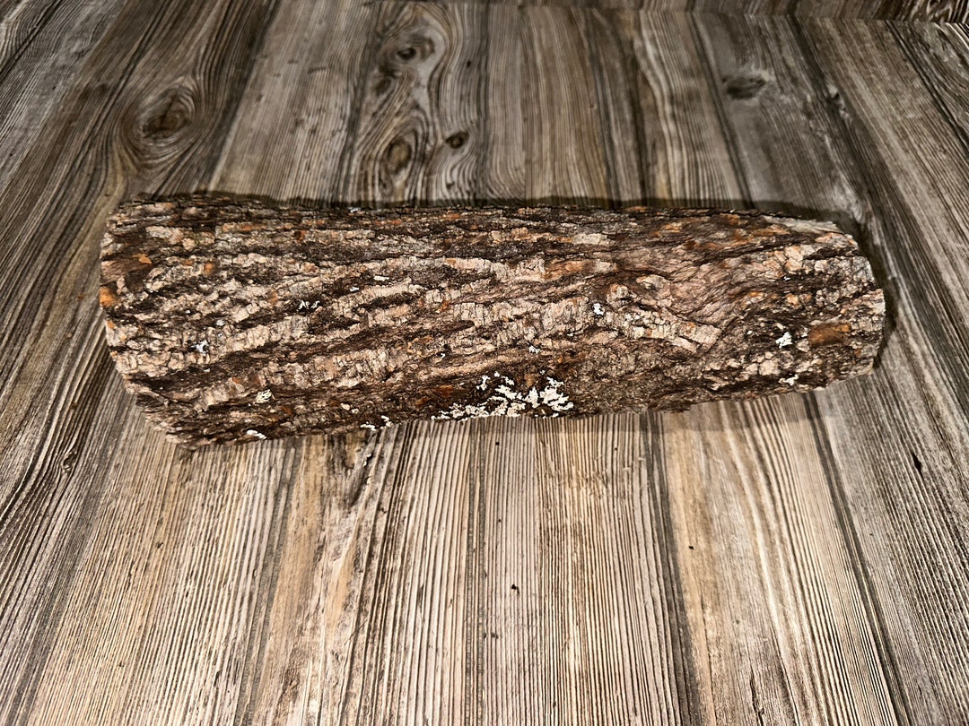 Aspen Turtle Tunnel, Approximately 15.5 Inches Long by 6 Inches Wide ...