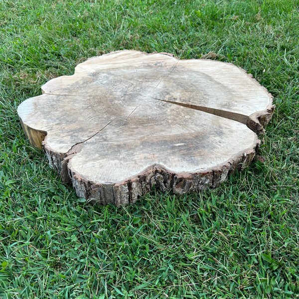 Large Wood Slices - Etsy